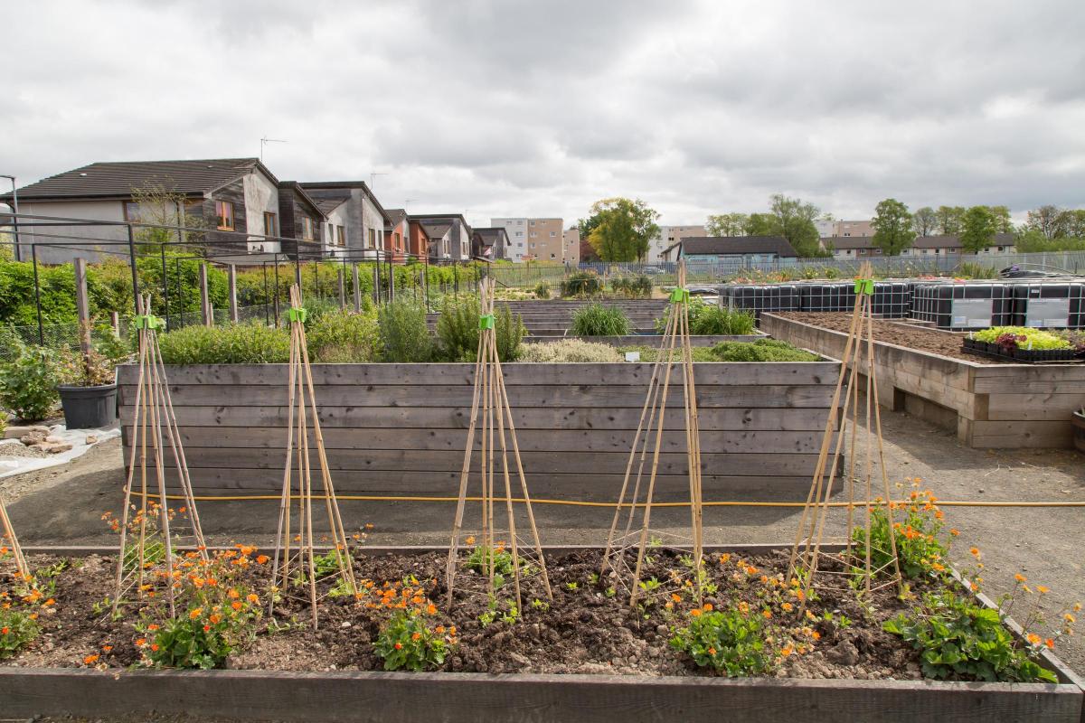 Tullibody Community Garden | European Heritage Days